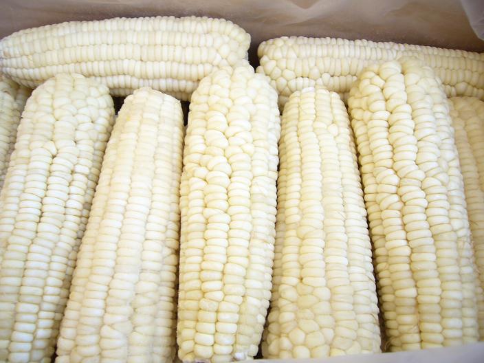 Different Types of Corn Products and How To Use Corn